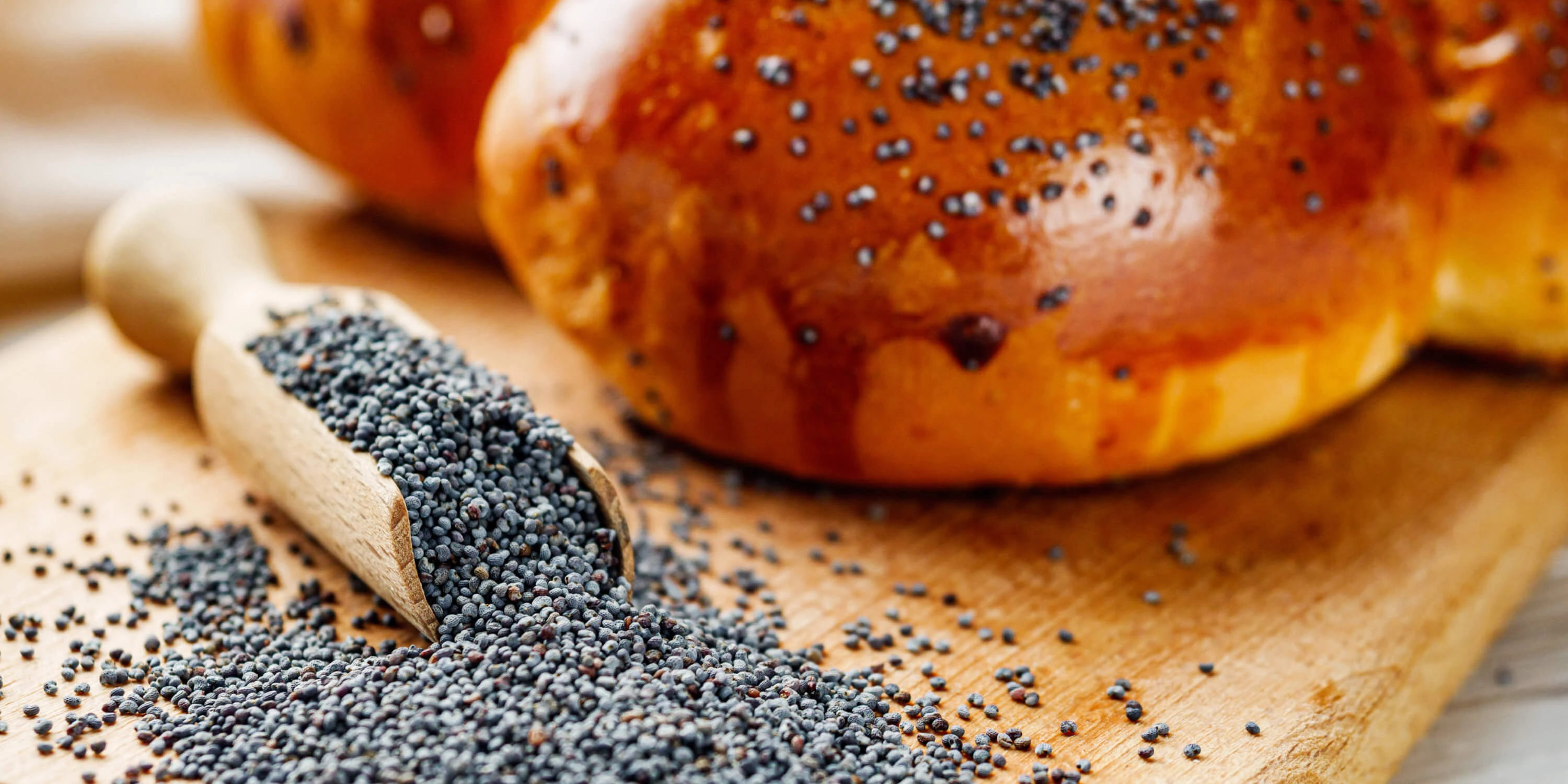 Myth or Reality: Do Poppy Seeds Test Positive for Opiates? | Blog ...